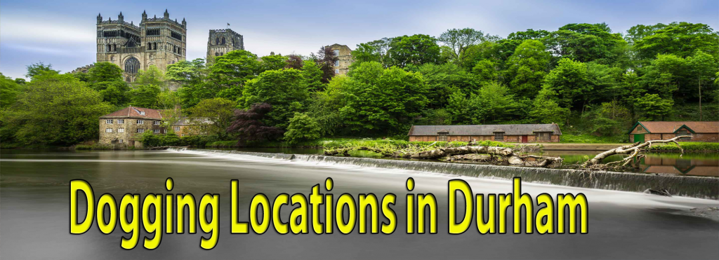 Dogging-in-durham | Dogging Online